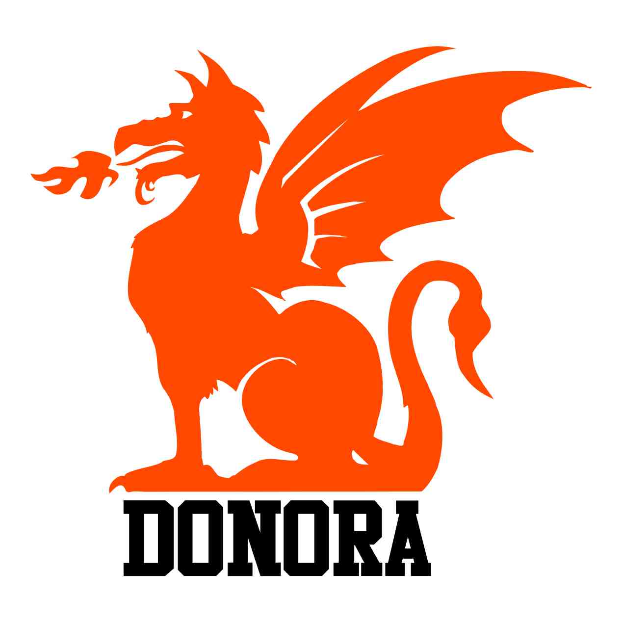 Donora Dragons Spirit Wear – SBS T Shop